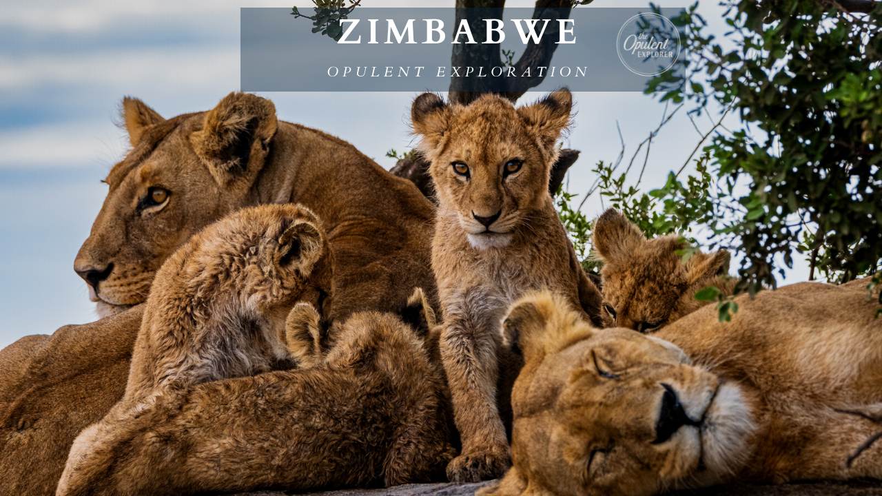 Opulent Explorer – A Modern Luxury Travel Agency